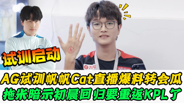 AG开始试训帆帆，Cat爆料转会瓜，初晨真要回KPL_腾讯新闻