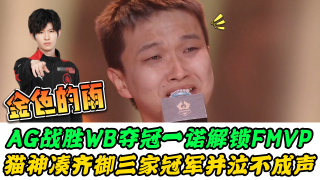 AG战胜WB夺得冠军，一诺喜提FMVP，公孙离皮肤稳了，Cat哭到泣不成声_腾讯新闻