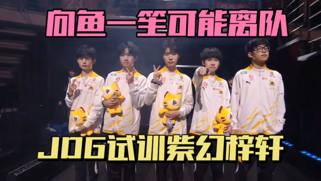 狼队中辅可能离队，向鱼试训TTG，一笙试训KSG和WB，JDG试训紫幻梓轩，AG补强二队_腾讯新闻