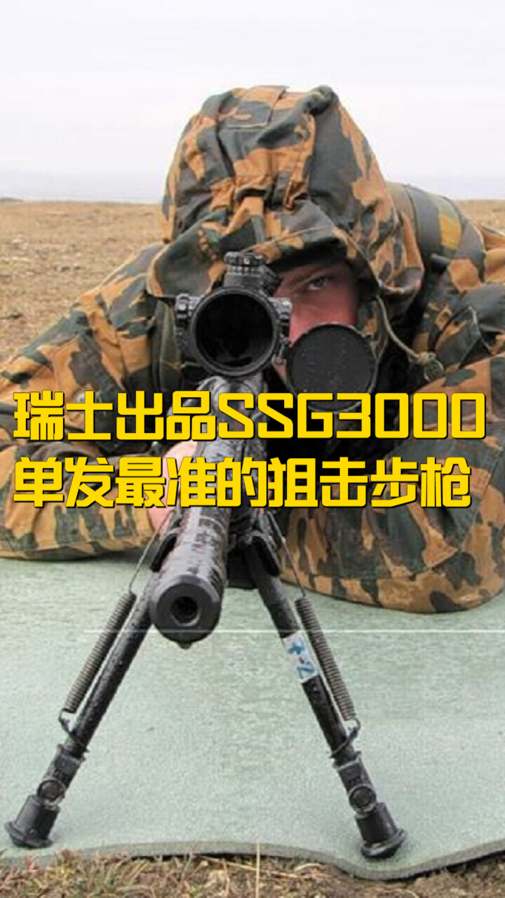 瑞士出品SSG3000，世界上单发最准的狙击步枪_腾讯新闻