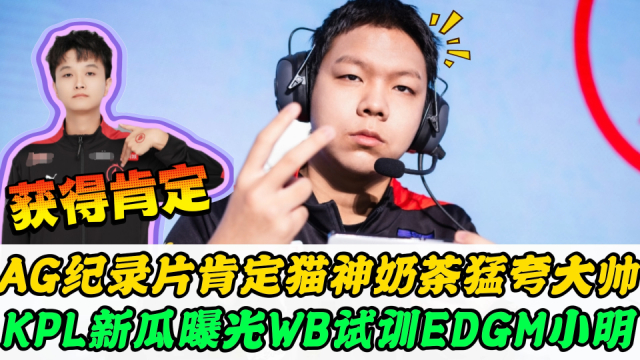AG纪录片高度肯定Cat，大帅真的很纯粹，KPL新瓜出炉，WB试训金牌中单_腾讯新闻