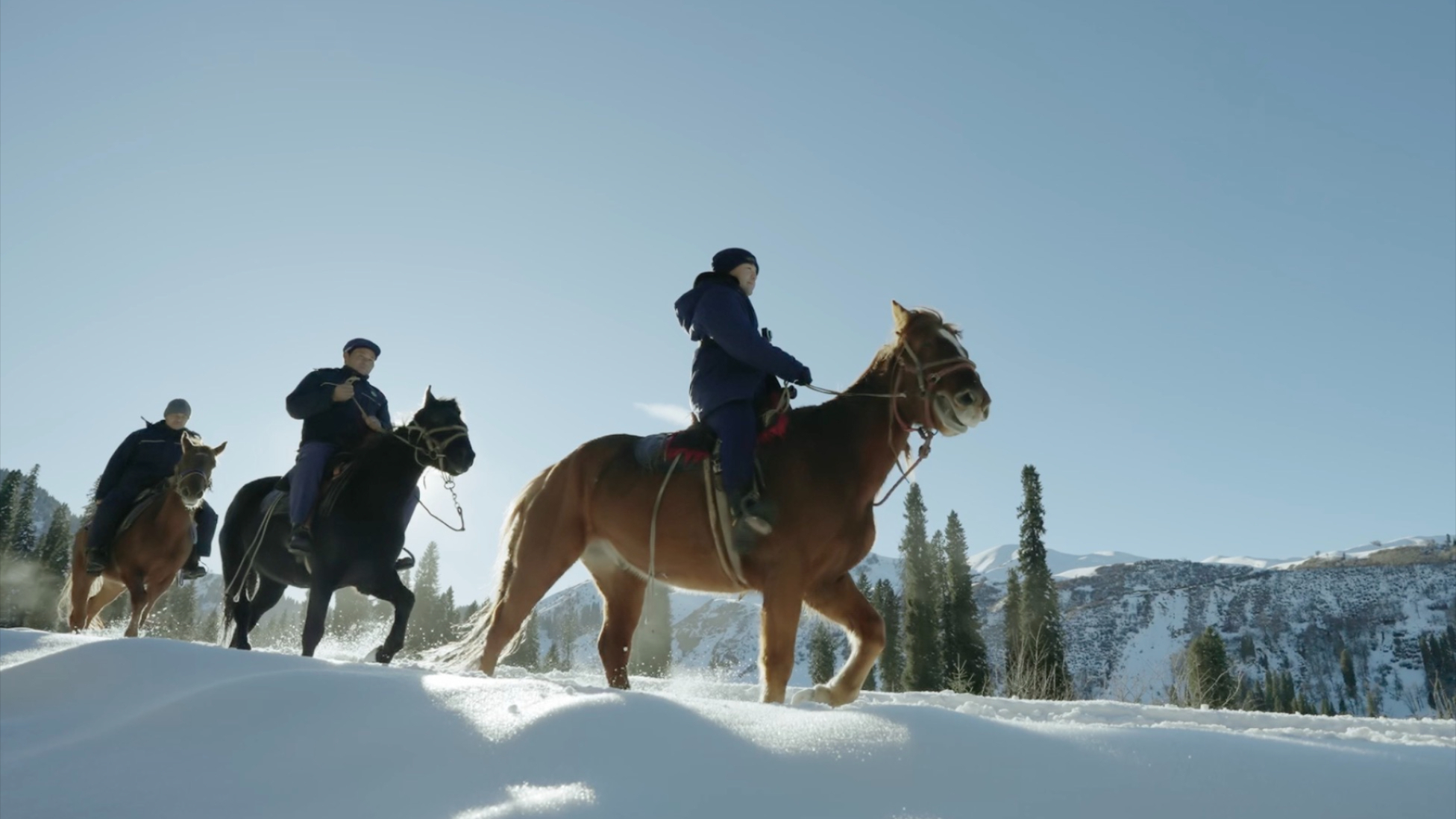 中国新疆独有！“云杉王” 镇守天山冰雪秘境，马背巡护队世代守护_腾讯新闻