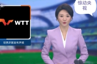 樊振东回应WTT声明惊动央视，硬刚WTT获名记力挺，谁应为此负责？_腾讯新闻