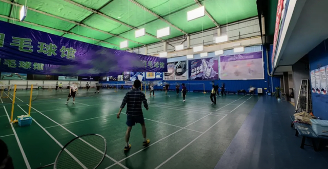 男子打球被猫绊倒，判赔24万元的投喂者已离职，曾承认猫是自己养的_腾讯新闻