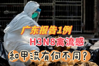 广东报告1例H3N8禽流感病例，和甲流有何不同？会广泛传播吗？_腾讯新闻