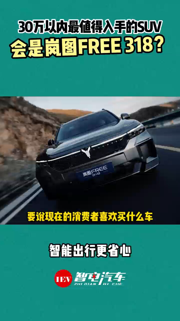 30万以内最值得入手的SUV，会是岚图FREE 318吗？_腾讯新闻