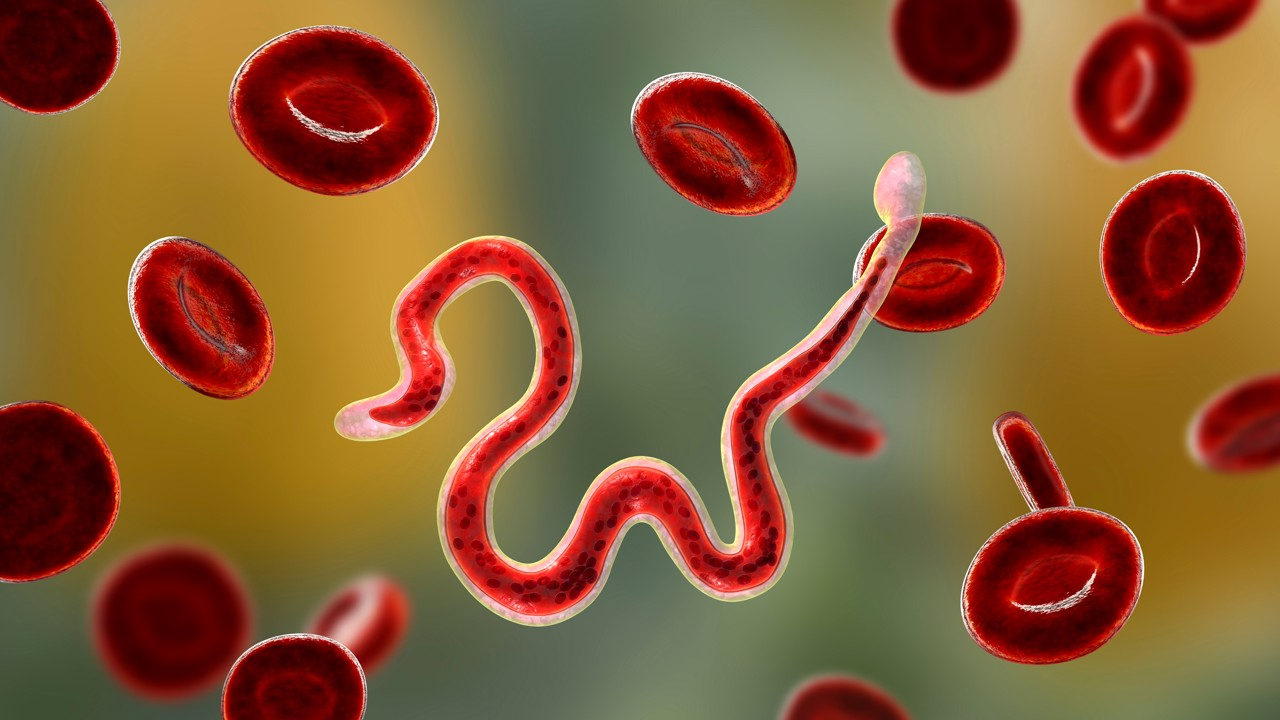 全球仅一人携带！瓜德阴性血和ABO型血有什么不同？_腾讯新闻