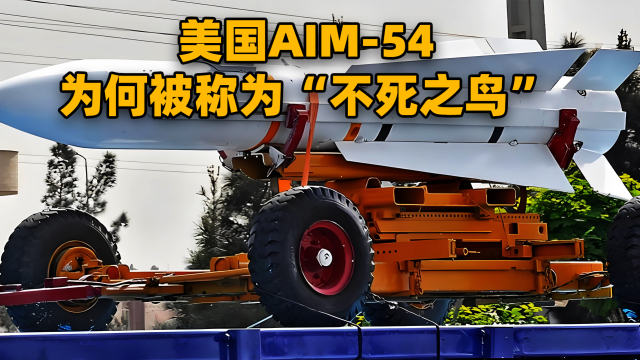 美国AIM-54，为何被称为“不死之鸟”？_腾讯新闻