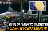 白头歼11B再次亮相官媒，全“歼16化”！300架歼11BG战力非同小可_腾讯新闻