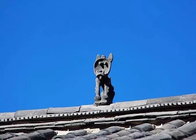 瓦猫，来自昆明的神兽_腾讯新闻