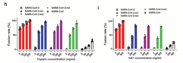 Furin蛋白酶切位点在SARS-CoV-2膜融合中的作用_腾讯新闻