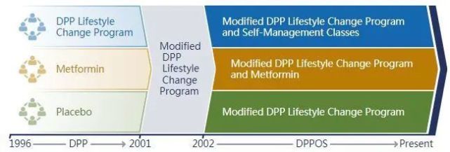 DPPOS研究揭晓：二甲双胍预防“癌症”和“心血管疾病”的效果如何？_腾讯新闻