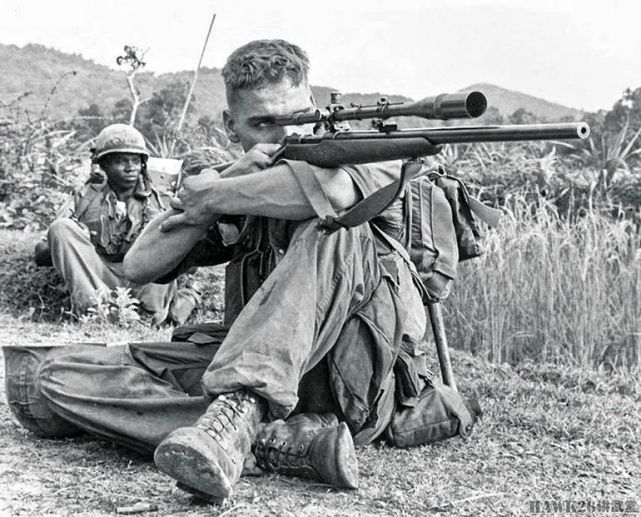 解说：越战早期的三款狙击步枪 美军仓促上阵 竭尽所能扭转劣势_腾讯新闻