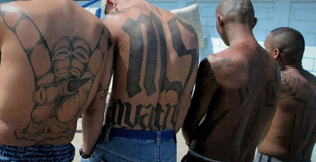 MS-13四十年长盛不衰，美国政府“扫黑”成效不佳？_腾讯新闻