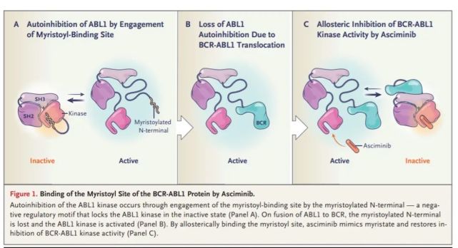 速递｜诺华白血病疗法在中国启动3期临床，有望克服耐药性问题_腾讯新闻