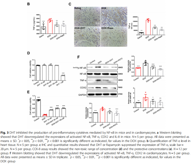 【AbMole】TFEB-NF-κB炎症信号轴DHT对DIC的抗炎作用_腾讯新闻