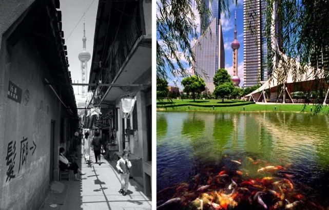 浦东，奇迹！这个展览复刻30年前陆家嘴，当年“烂泥渡路”就是这样_腾讯新闻