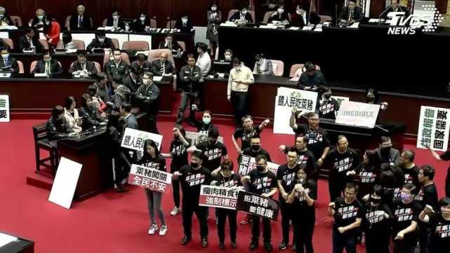 国民党新一代女战神“大嘴”郑丽文，原来也是“弃绿投蓝”_腾讯新闻