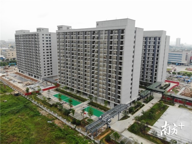 企业说｜新能安：仅一年，企业营收从零到十多亿_腾讯新闻