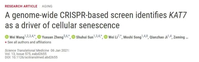 Sci Trans Med：刘光慧团队利用全基因组筛选发现抗衰老的全新靶标KAT7_腾讯新闻