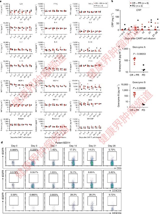 人人都能学懂CAR-T（六）——CAR-T细胞的不良反应及应对策略（一）（细胞因子风暴）_腾讯新闻