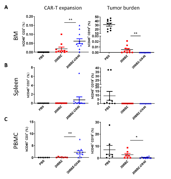 《科学》子刊：新型共刺激信号，使CAR-T展现治疗实体瘤潜力_腾讯新闻