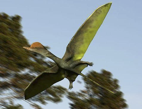 给新物种命名“派大星”，怎么就不严谨了？_腾讯新闻