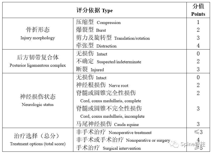 骨科精读｜一文读懂胸腰椎骨折的AO分型与TLICS、载荷分享评分！_腾讯新闻