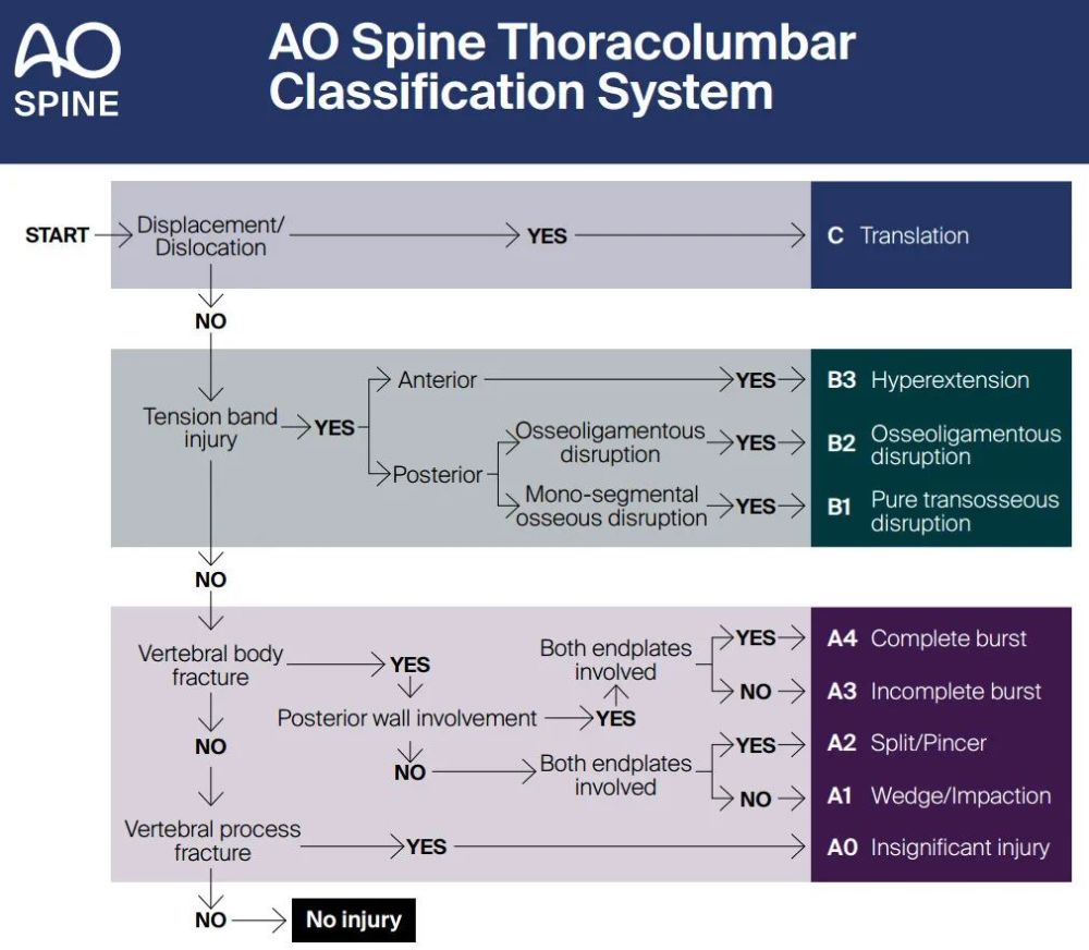 骨科精读｜一文读懂胸腰椎骨折的AO分型与TLICS、载荷分享评分！_腾讯新闻