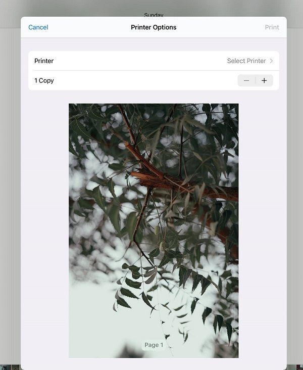 iOS 15/iPadOS 15大幅改进AirPrint面板_腾讯新闻
