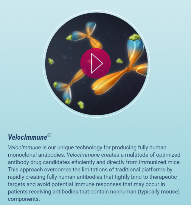 再生元开发肥胖新疗法，首席技术官：研究正处于初级阶段，上市还需几年_腾讯新闻