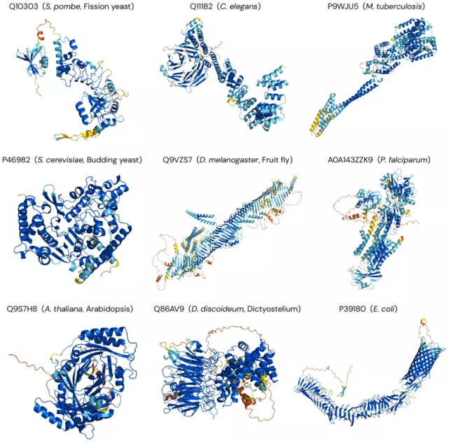 深度解析｜AlphaFold生成人类蛋白质组最完整、最准确图片，数据库全球免费开放_腾讯新闻