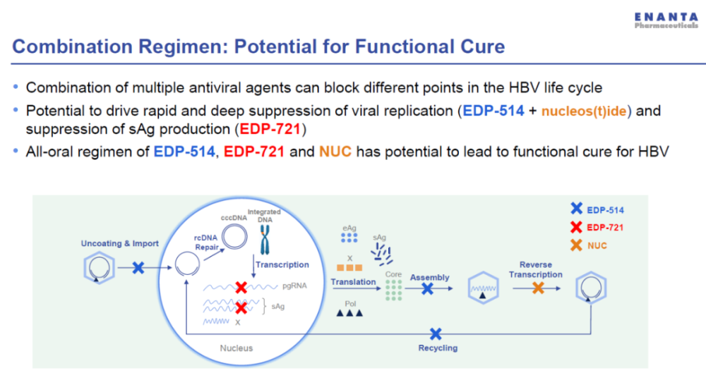 速递｜有望带来乙肝功能性治愈全口服治疗方案，RNA去稳定剂完成首例给药_腾讯新闻