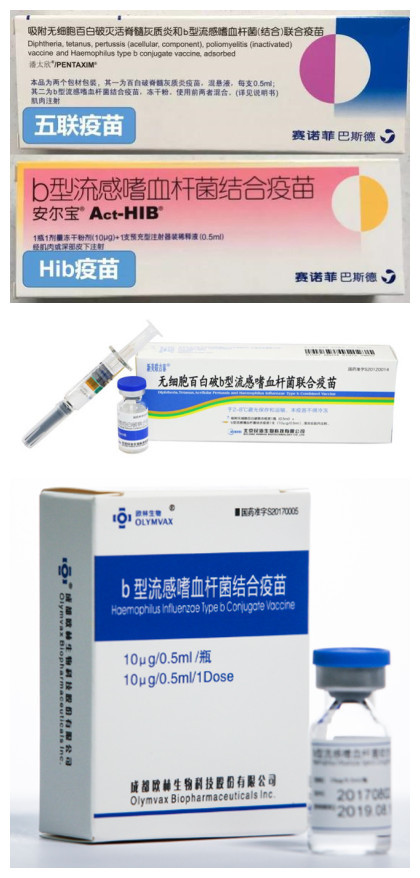 隐藏的疾病每年杀死数千儿童，研究建议Hib疫苗进免疫规划_腾讯新闻