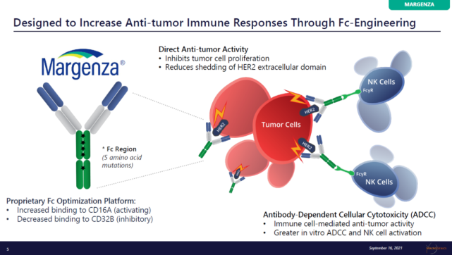 HER2，老靶点的新突破｜ESMO 2021_腾讯新闻