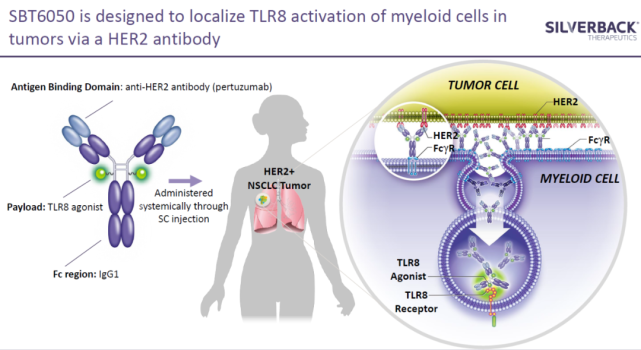 HER2，老靶点的新突破｜ESMO 2021_腾讯新闻