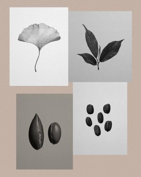 资生堂集团旗下高端护肤品牌 BAUM 正式登陆中国_腾讯新闻