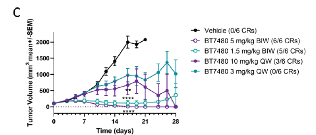 速递｜双环肽偶联免疫疗法，全新实体瘤靶向模式步入临床_腾讯新闻