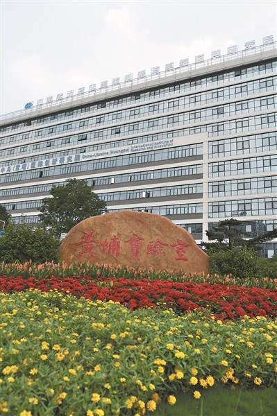 广东省大湾区集成电路与系统应用研究院首席科学家Henry H.Radamson：这是一片正在成长的地方_腾讯新闻