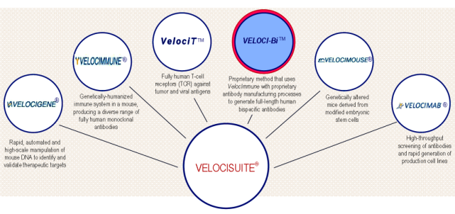 再生元制药：两个学霸的创业之路_腾讯新闻