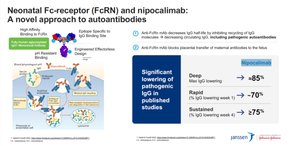 未来4年有望递交14款潜在重磅新药上市申请，强生展现研发蓝图_腾讯新闻
