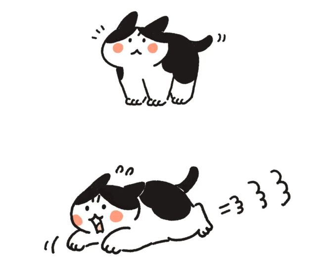 一张图了解，猫为啥总是突然开始疯跑！_腾讯新闻