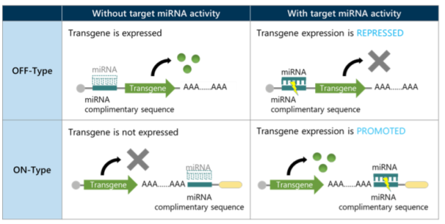 高性能材料巨头与基因初创跨界合作，利用RNA Switch开发mRNA疗法_腾讯新闻