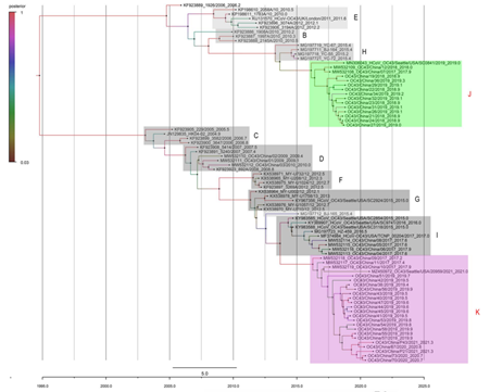 呼吸疾病国家重点实验室赵金存教授团队在住院患儿中发现冠状病毒OC43新基因型_腾讯新闻
