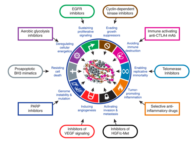 肿瘤研究者的圣经：Hallmarks of Cancer：New Dimensions_腾讯新闻