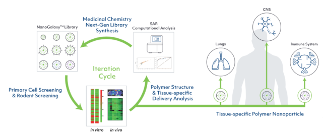 速递｜非病毒递送技术＋基因编辑，新锐联手开发创新神经肌肉疾病疗法_腾讯新闻