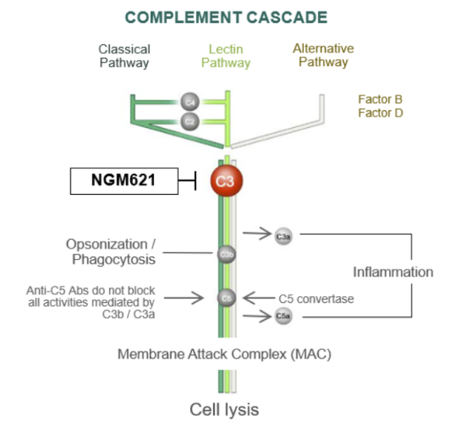速递｜治疗年龄相关性黄斑变性，FDA授予补体C3长效抑制剂快速通道资格_腾讯新闻
