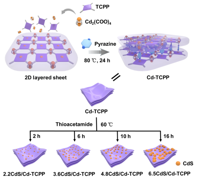 ACB：超薄2D MOF纳米片敏化的CdS量子点光催化剂产氢性能_腾讯新闻