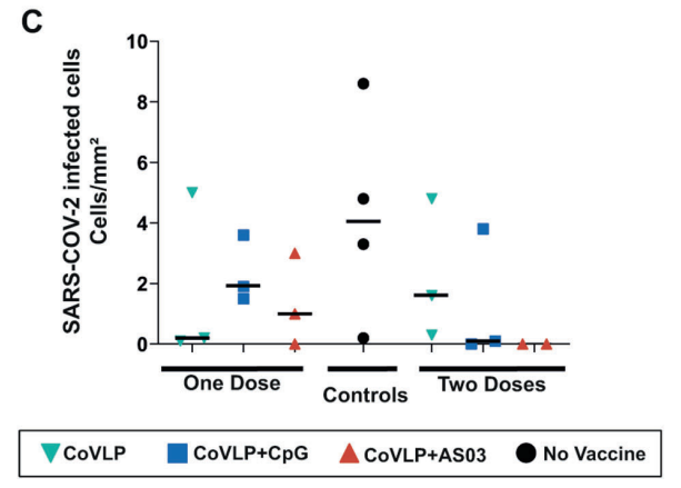 关注｜全球第一款新冠植物疫苗获批_腾讯新闻