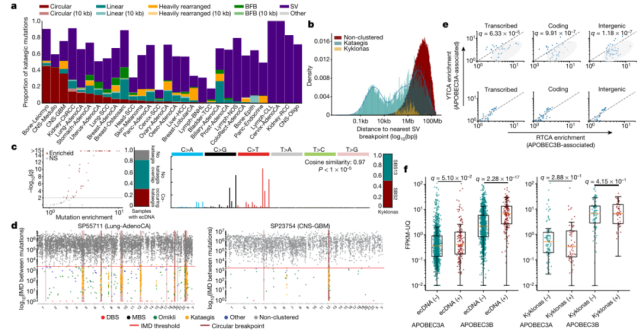 癌症是一种“基因病”，《Nature》：这种突变模式导致了约10％的人类癌症_腾讯新闻